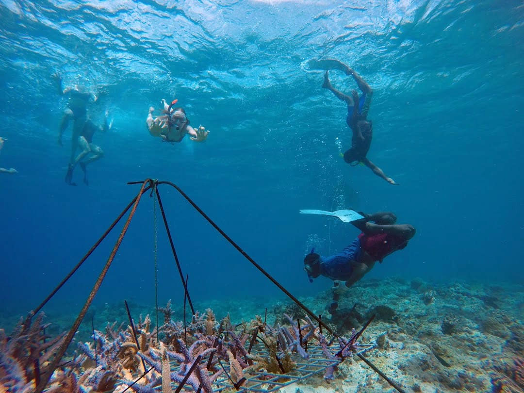 Ramada Sustainability Efforts | Helping Communities